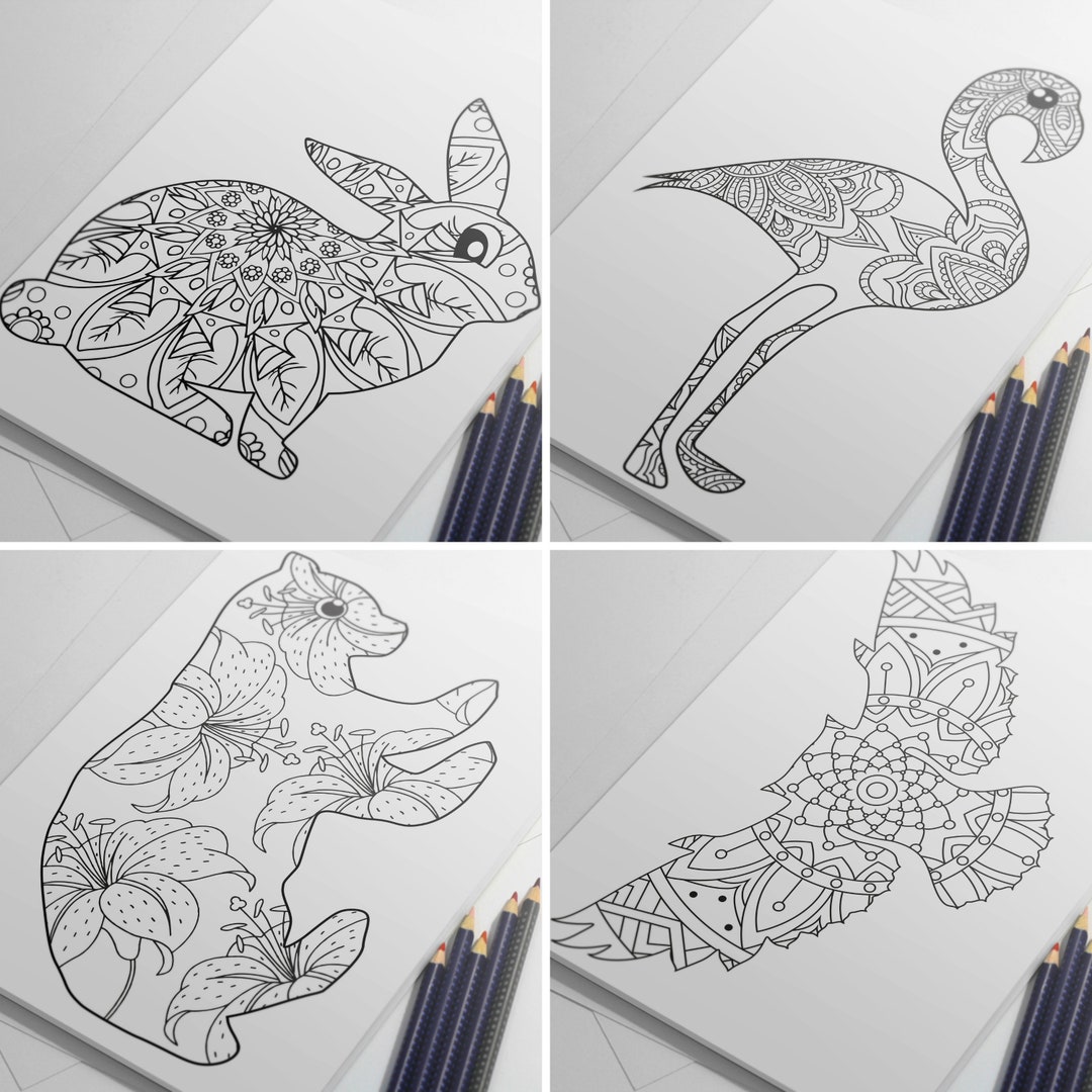 Coloring Book Postcards of Animals and Birds, Owl Coloring, Printable ...
