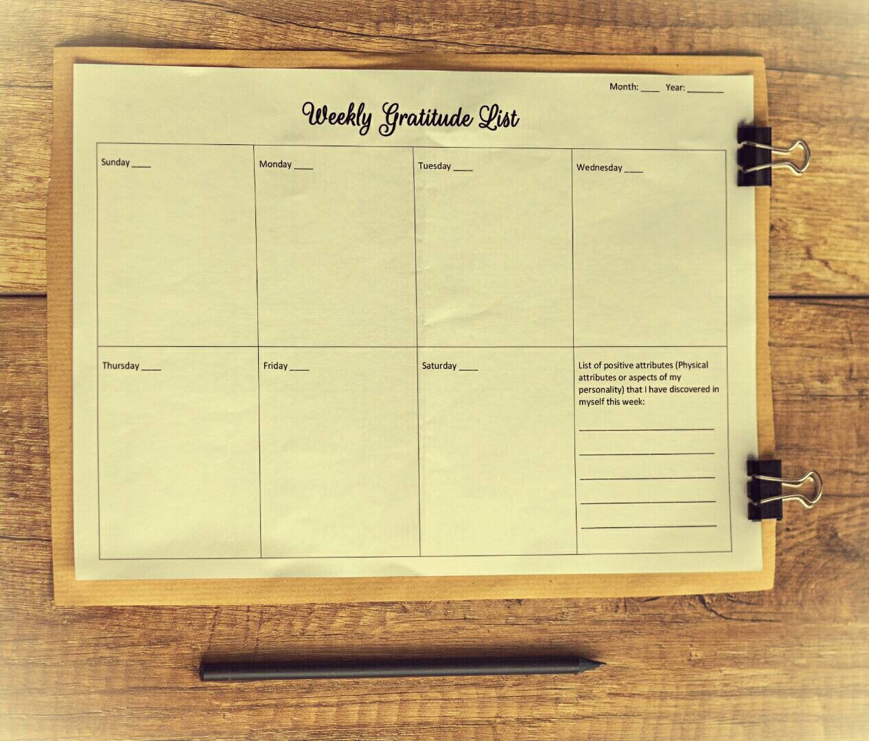 Gratitude Planner Printable Positive Journal 2020 Planner Insert ...