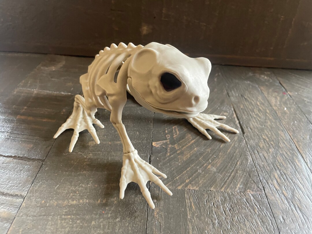 NEW Skeleton Frog With Moving Jaws Halloween - Etsy