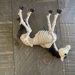 NEW Resin Skeleton Boney Horse Halloween - Etsy