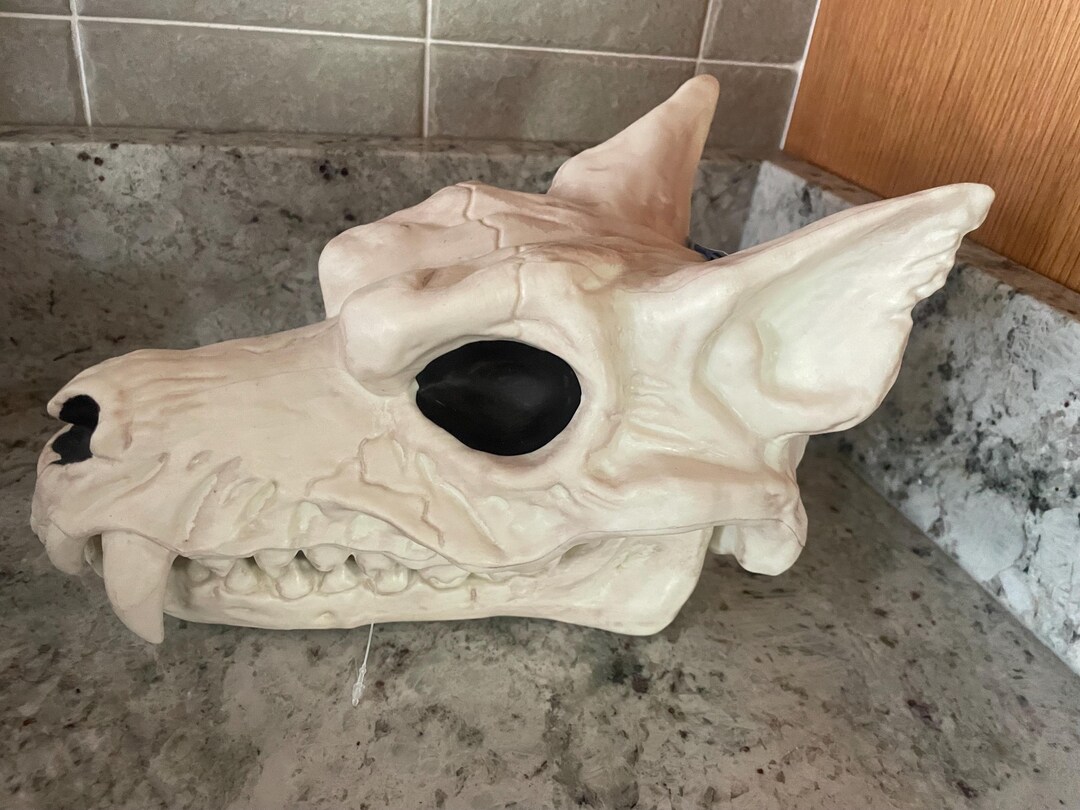 NEW Faux Plastic Werewolf Skull With Moving Jaws Halloween - Etsy