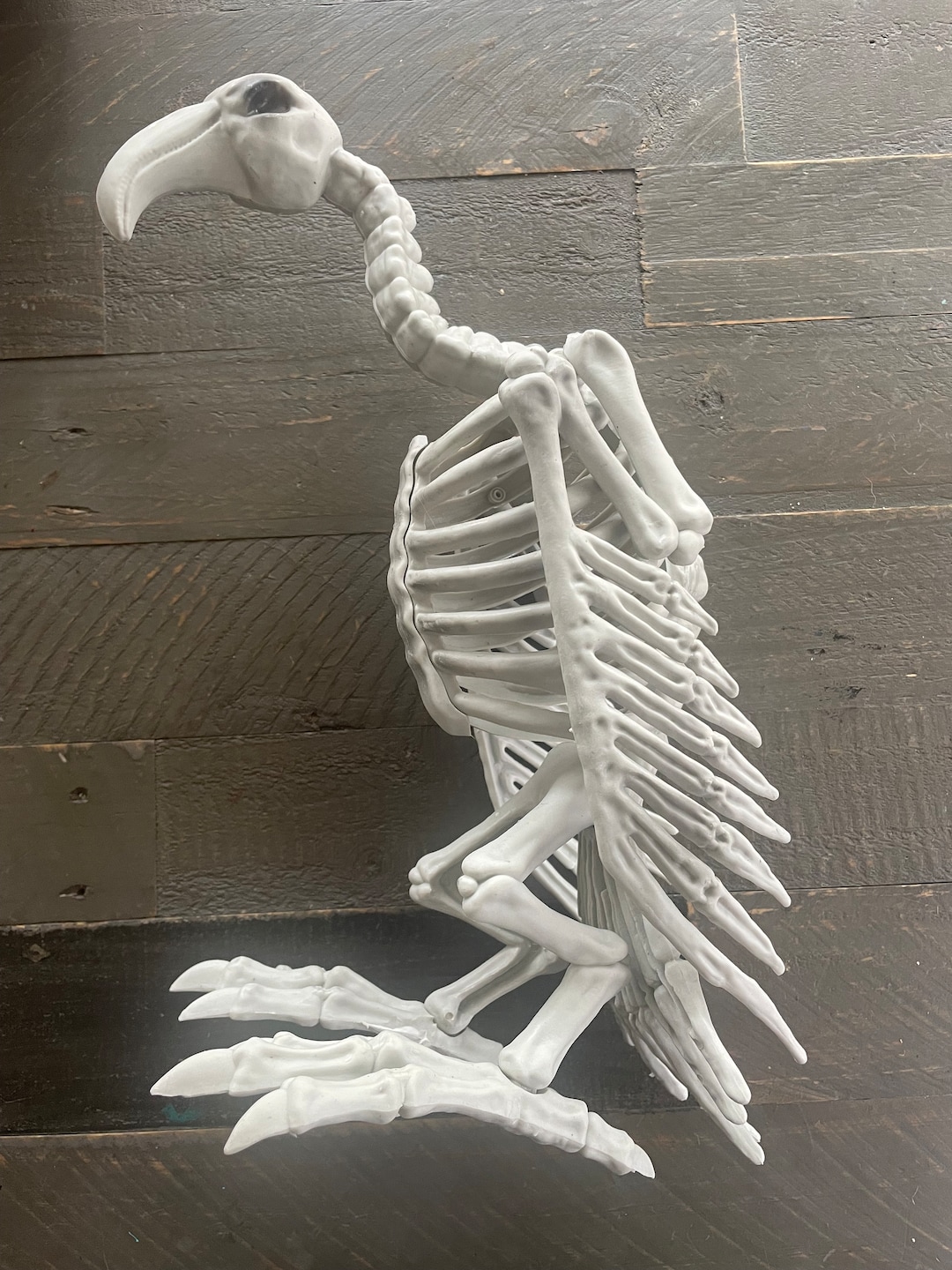 NEW Halloween Skeleton Vulture / Condor / Bird Figurine - Etsy