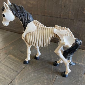 NEW Resin Skeleton Boney Horse Halloween - Etsy
