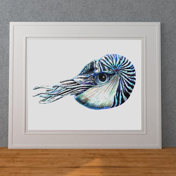 Nautilus Art - Etsy