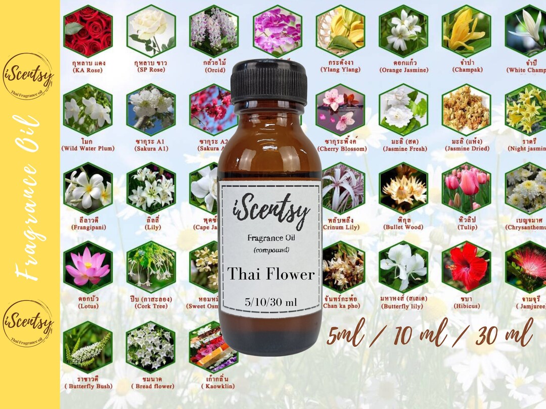 Thai Fragrance Oil: FLOWER Scents for Candle, Soap, Shampoo, Car/reed ...