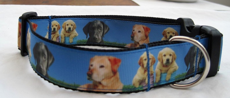 Labrador Golden Retriver Dog Collar Matching Lead Available - Etsy