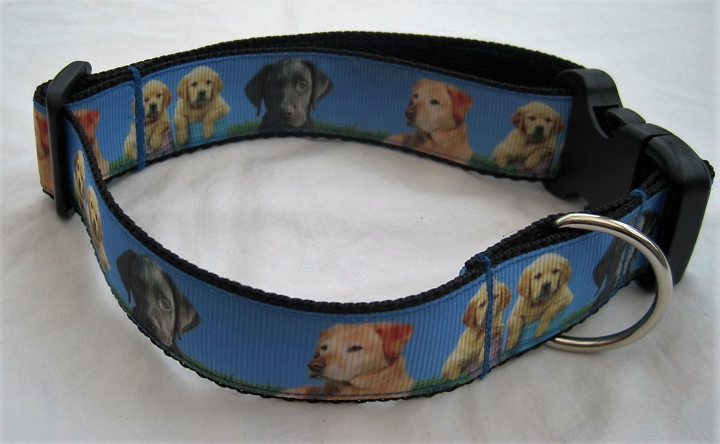 Labrador Golden Retriver Dog Collar Matching Lead Available - Etsy