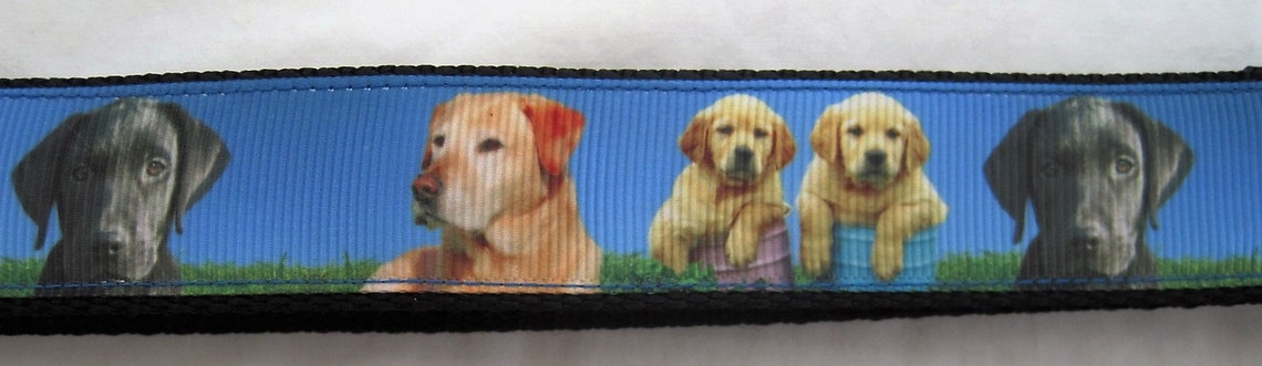 Labrador Golden Retriver Dog Collar Matching Lead Available - Etsy