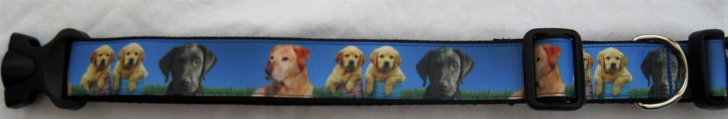 Labrador Golden Retriver Dog Collar Matching Lead Available - Etsy