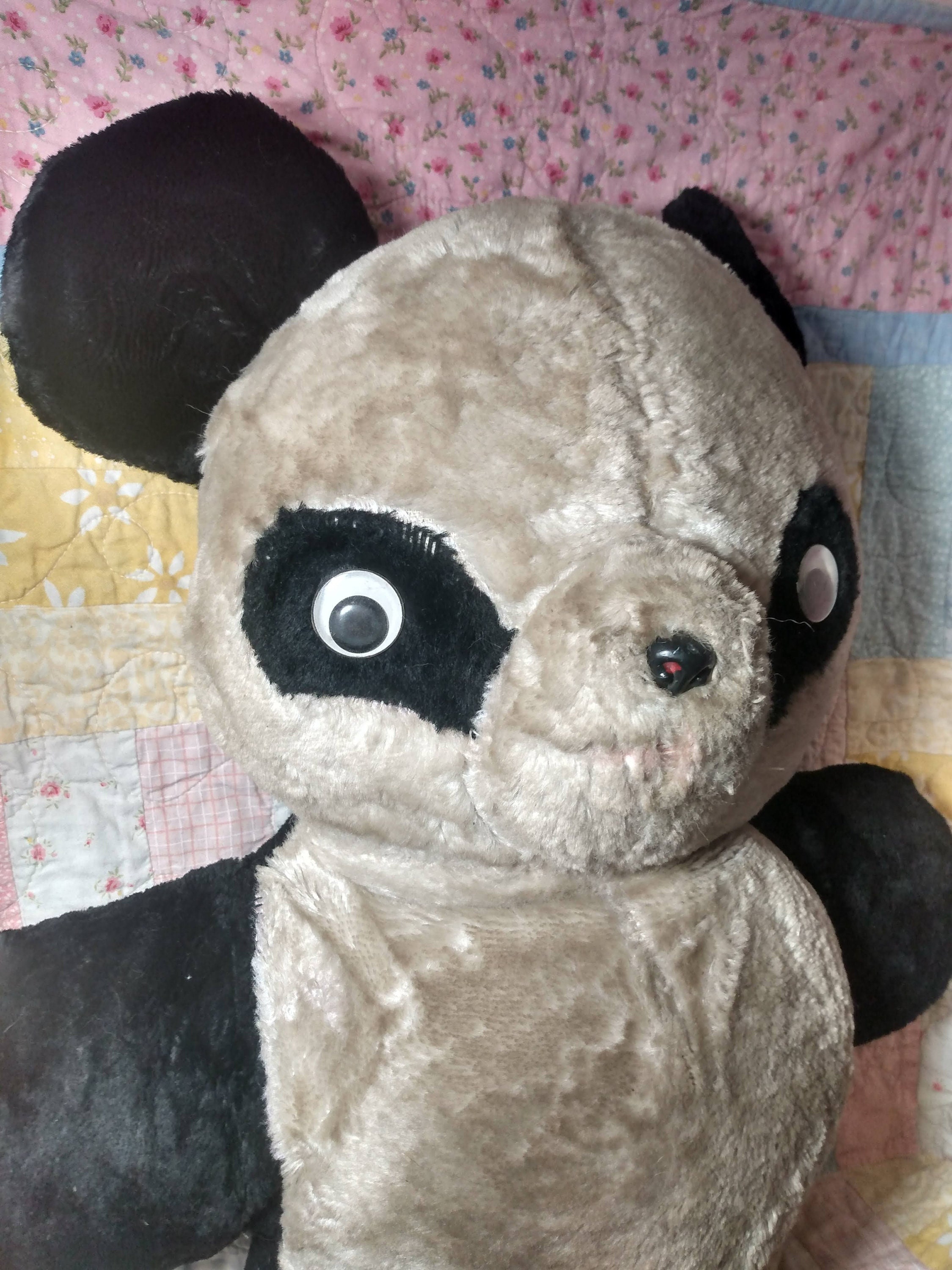 1960s Panda Teddy Bear Carnival Prize With Googly Eyes Huge - Etsy
