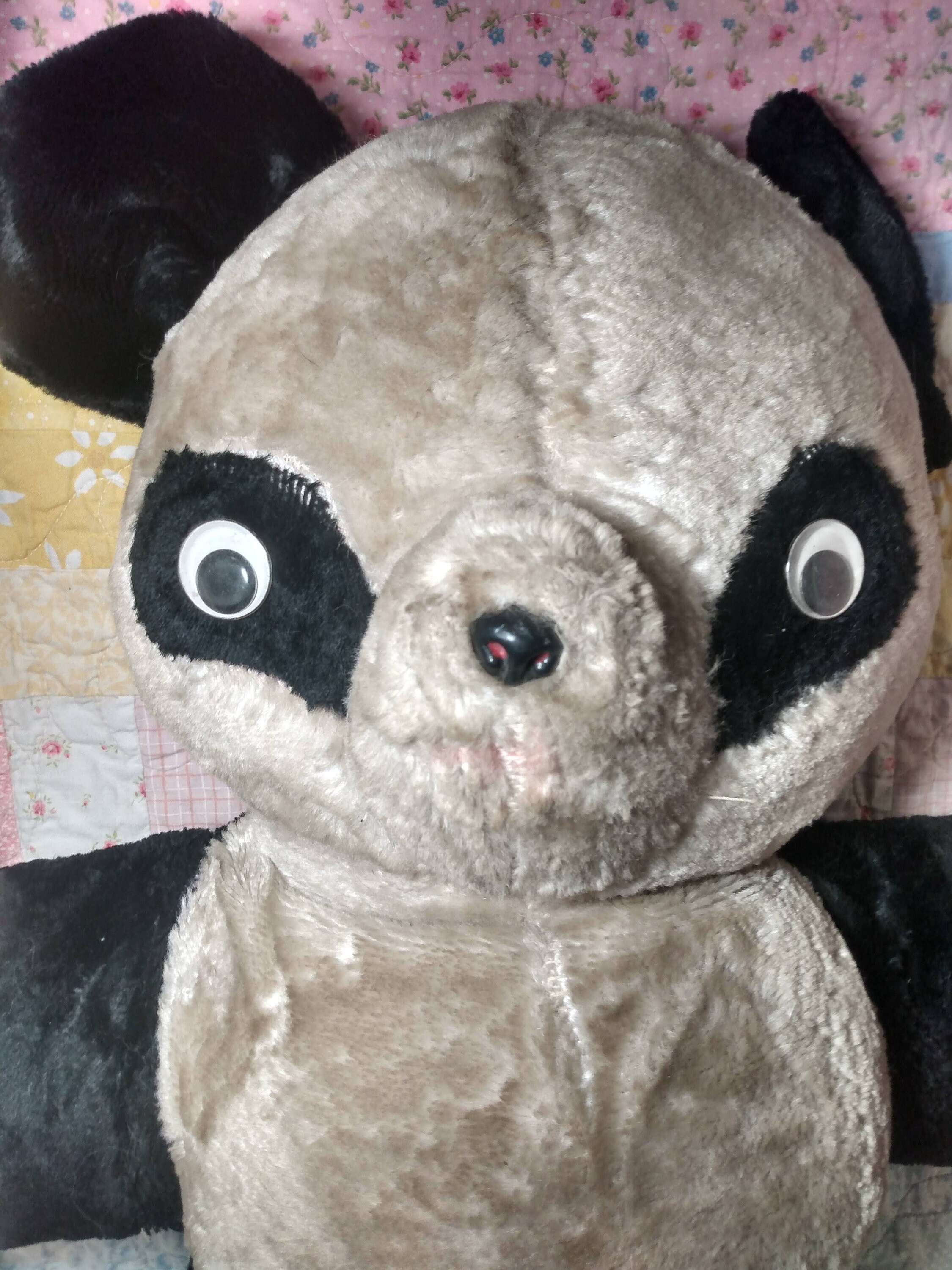 1960s Panda Teddy Bear Carnival Prize With Googly Eyes Huge - Etsy