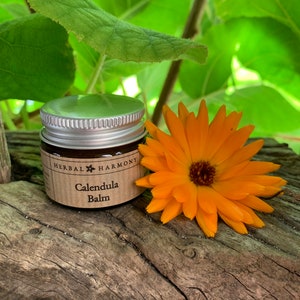 Calendula Balm for Dry Skin, Calendula Salve With Calendula Flower Oil ...