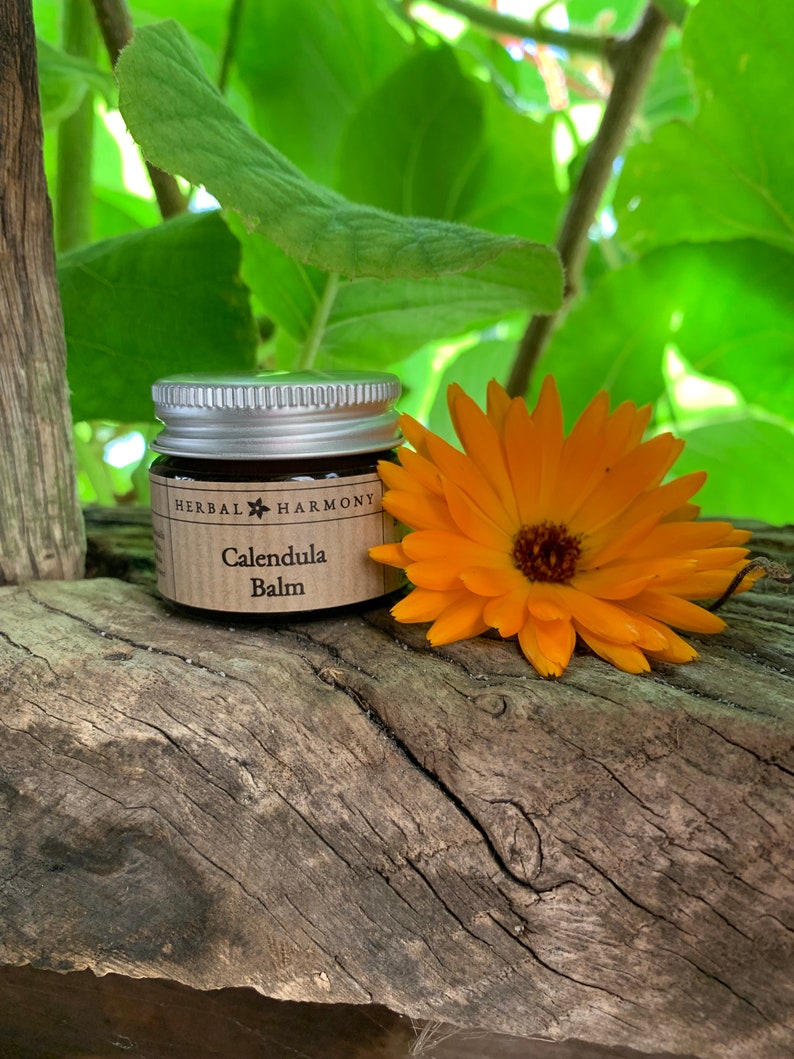 Calendula Balm for Dry Skin, Calendula Salve With Calendula Flower Oil ...