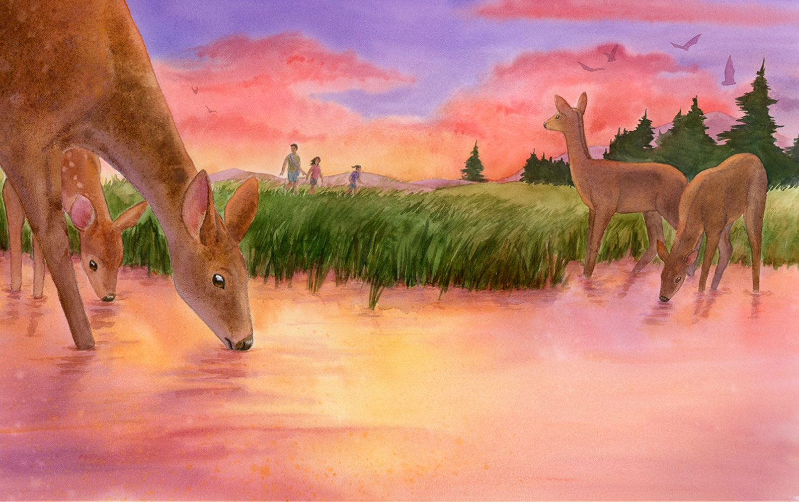 Original Painting - Deer at Dusk - Etsy