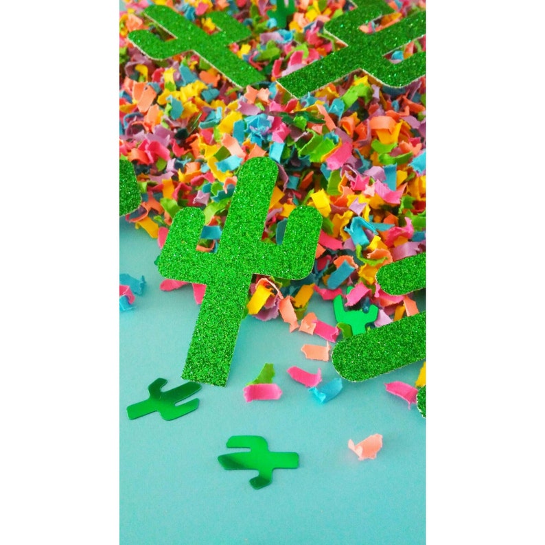 Fiesta Confetti. First Fiesta. Cactus Theme. Fiesta. Fiesta - Etsy