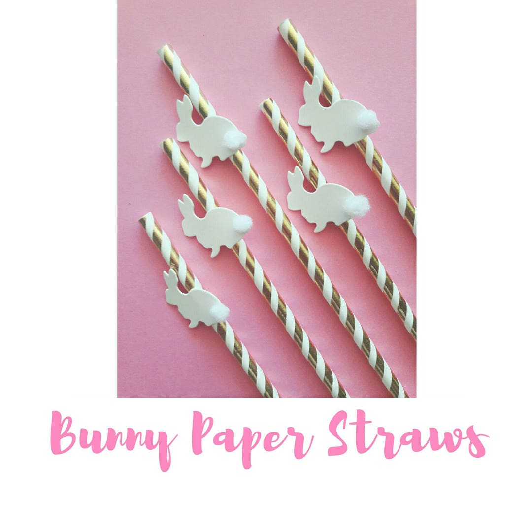 Some Bunny is One. Bunny Straws Easter Bunny. Easter Party. - Etsy