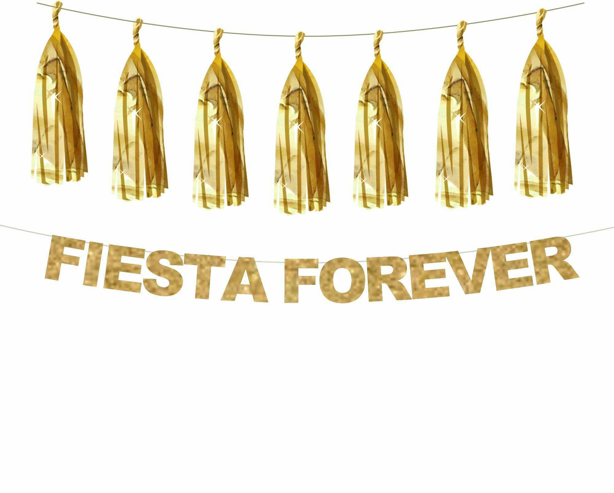 Fiesta. Fiesta Forever. Fiesta Party. Fiesta Banner. Fiesta | Etsy