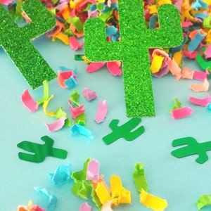 Fiesta Confetti. First Fiesta. Cactus Theme. Fiesta. Fiesta Birthday ...