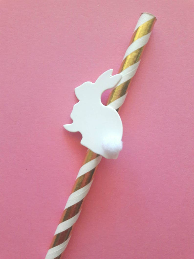 Some Bunny is One. Bunny Straws Easter Bunny. Easter Party. - Etsy