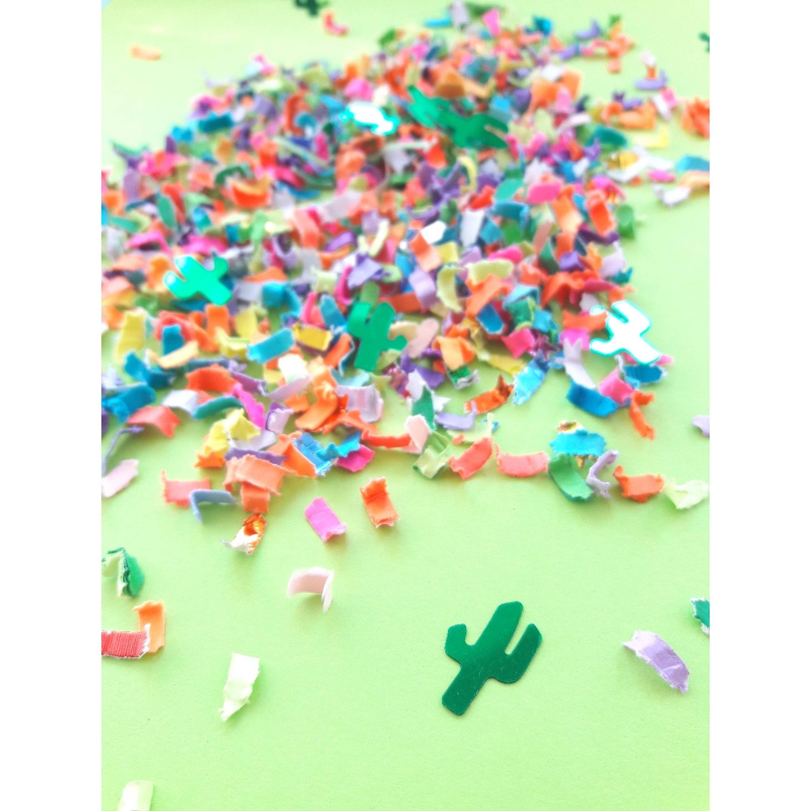 Fiesta Party Decorations. Fiesta. Cactus Theme. Fiesta. Fiesta - Etsy