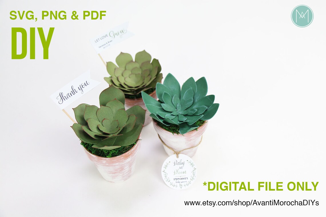 DIY Paper Succulents -patterns Svg Cuts, Png, Pdf, Party Favors ...