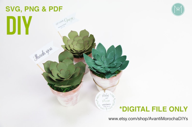 DIY Paper Succulents patterns Svg Cuts Png Pdf Party - Etsy UK