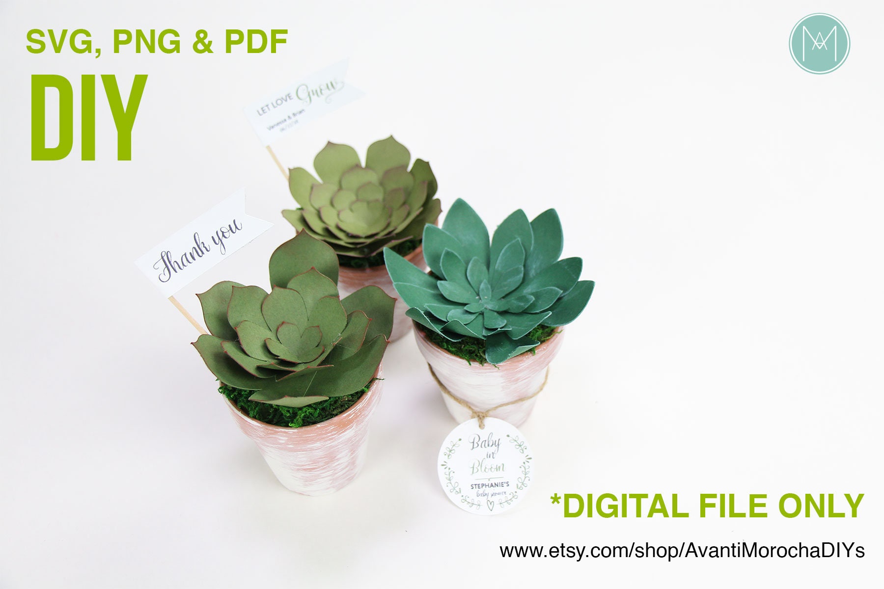DIY Paper Succulents -patterns Svg Cuts, Png, Pdf, Party Favors ...