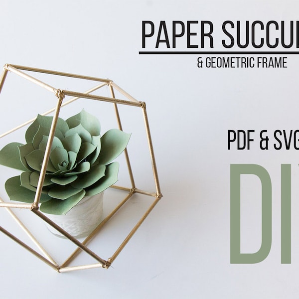 Paper Succulent - Etsy