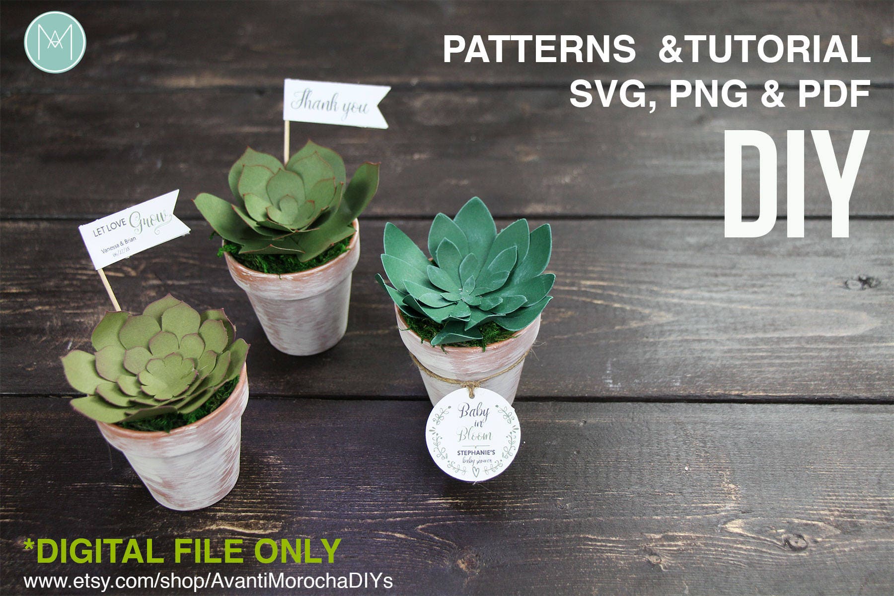 DIY Paper Succulents -patterns Svg Cuts, Png, Pdf, Party Favors ...