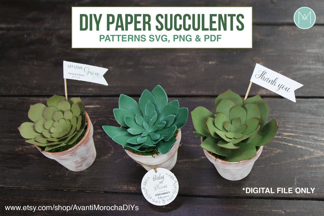 DIY Paper Succulents -patterns Svg Cuts, Png, Pdf, Party Favors ...