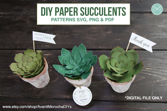 DIY Paper Succulents patterns Svg Cuts Png Pdf Party | Etsy UK