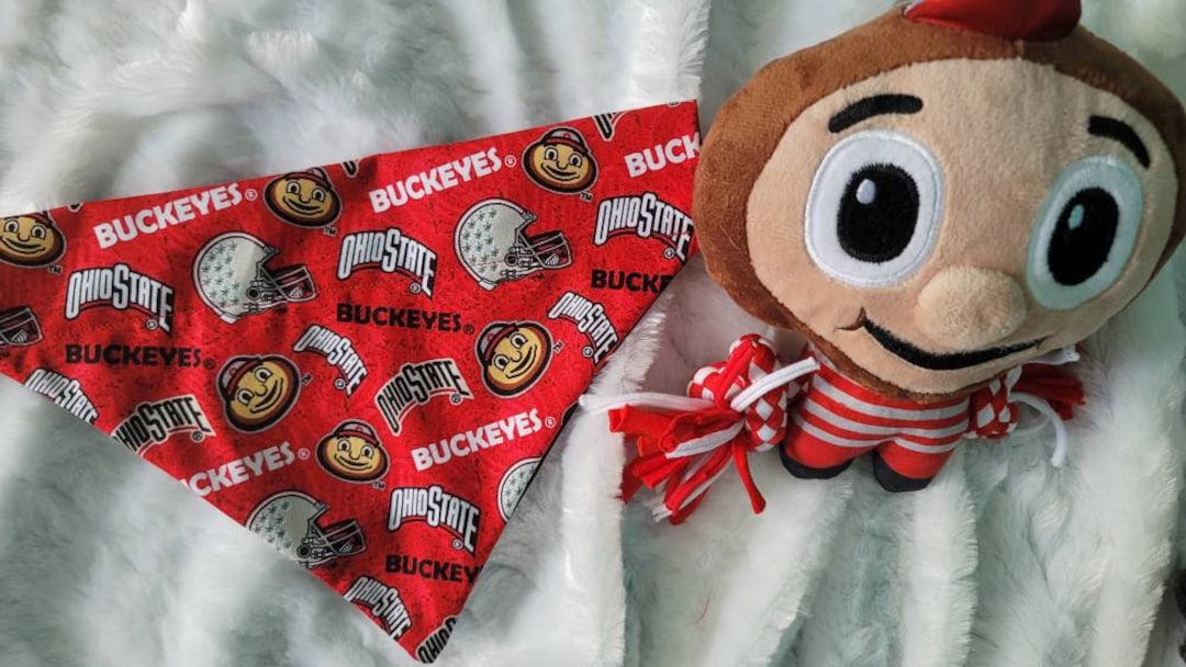 The Ohio State University Brutus Buckeye, Licensed, Over the Collar Dog ...
