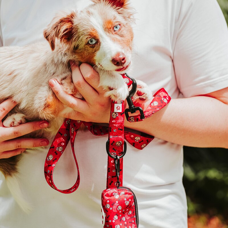 Brutus Buckeye Svg - Etsy