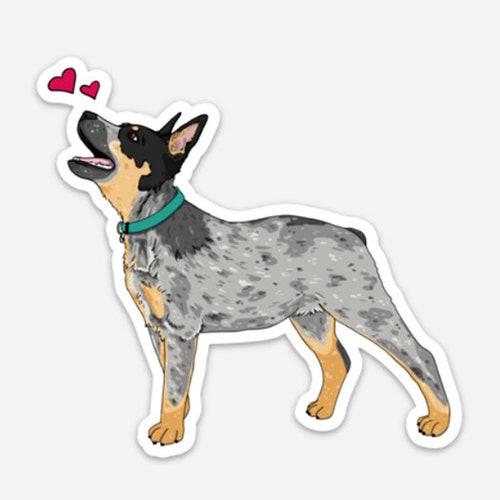 Blue Heeler Decal - Etsy