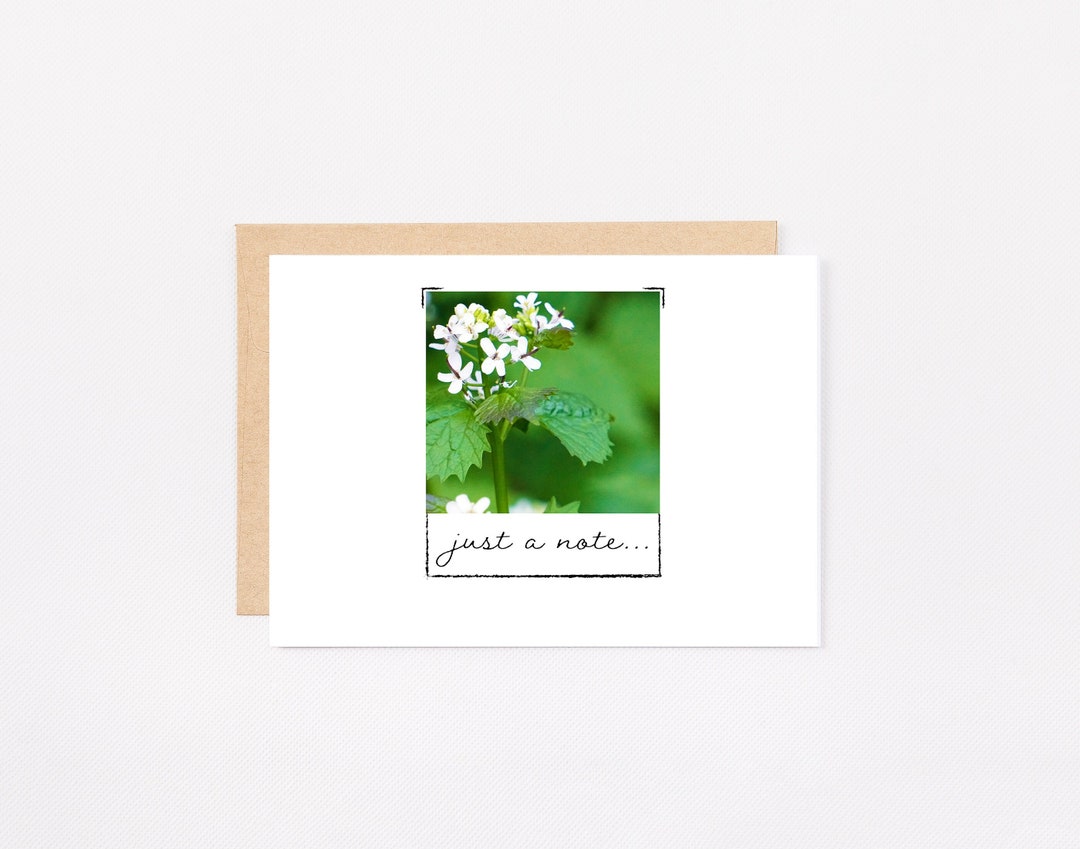 Printable Just a Note Small White Flower Note Card, 5x7 - Etsy