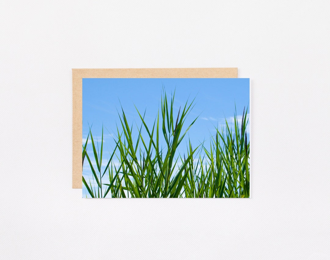 Printable Minimal Grasses Card, 5x7 - Etsy