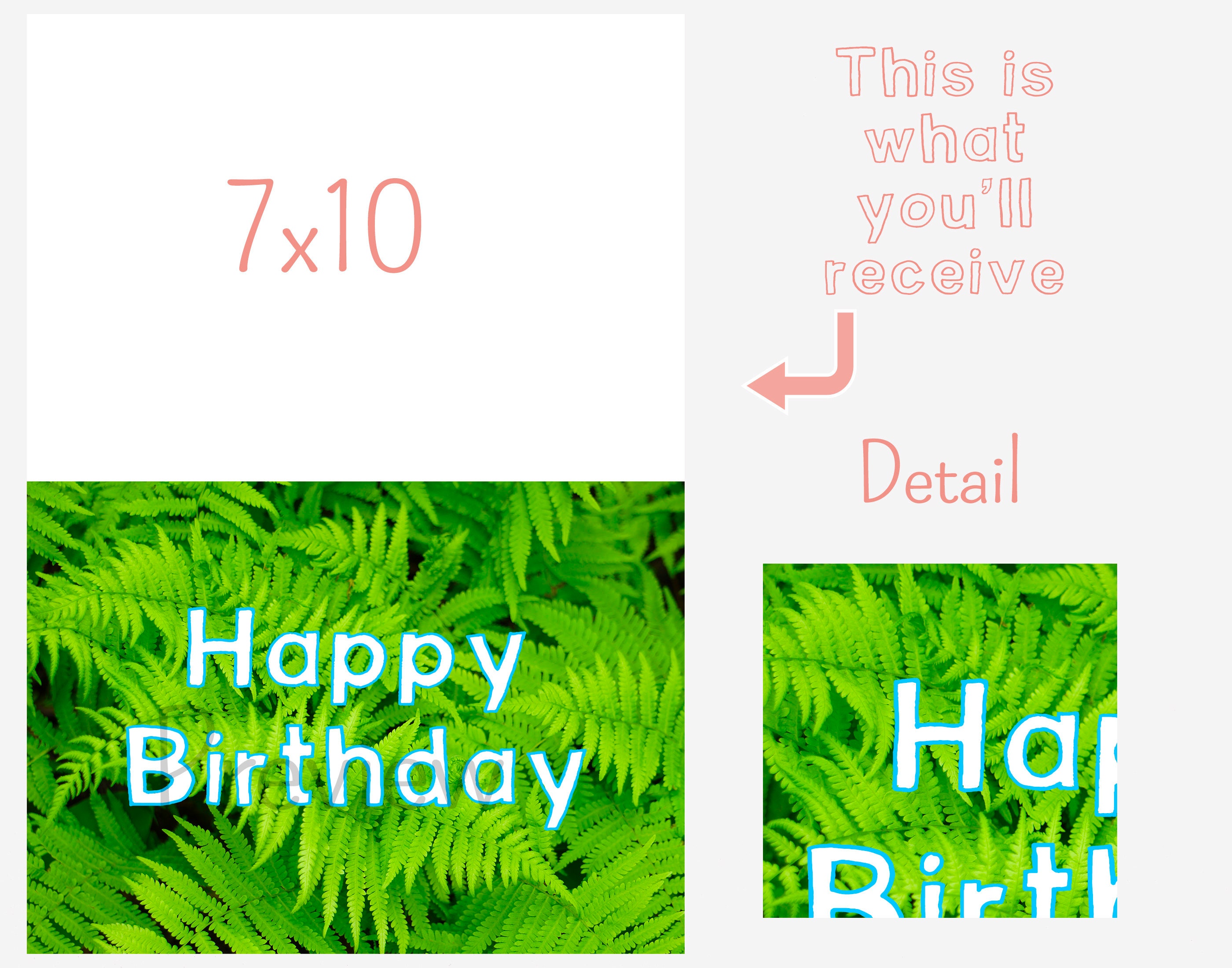 Printable Ferns Birthday Card Ferns Nature Green Simple - Etsy Finland