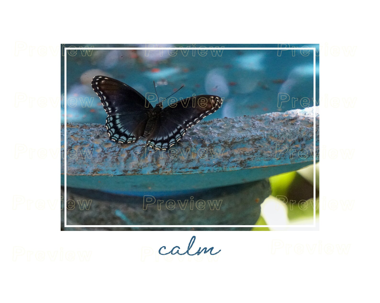 Printable Butterfly Print, Calm, Photo Print, Art Print, Gallery Wall ...