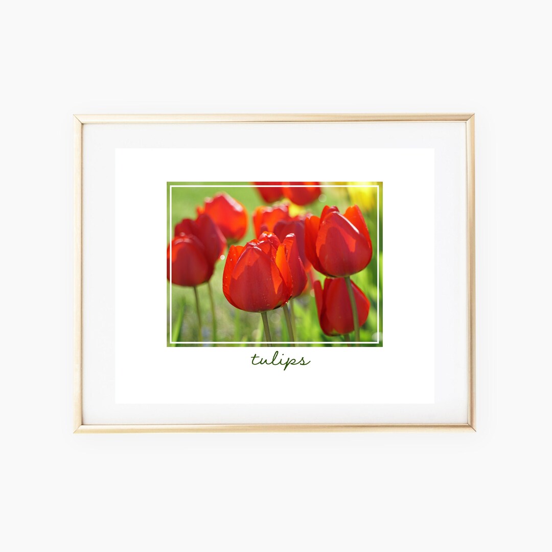 Printable Tulips Print, Spring, Flowers, Instant Download, 8x10, Red ...