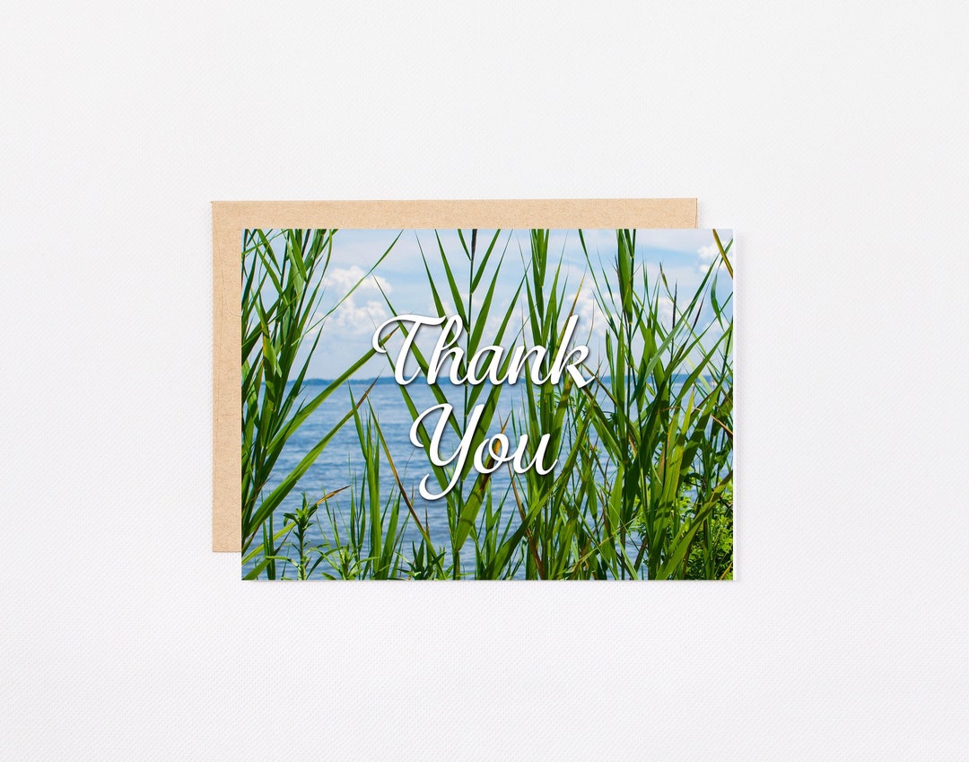 Printable Tall Green Grasses Thank You Card, 5x7, Nature, Sky, Water ...