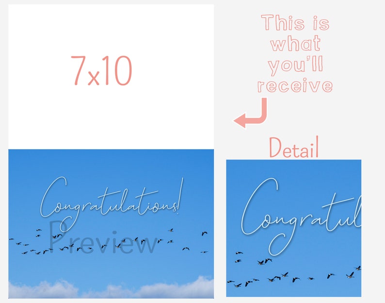 Printable Congratulations Card, 5x7, Geese, Birds, Sky - Etsy