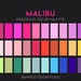 Malibu Procreate Color Palette - Etsy