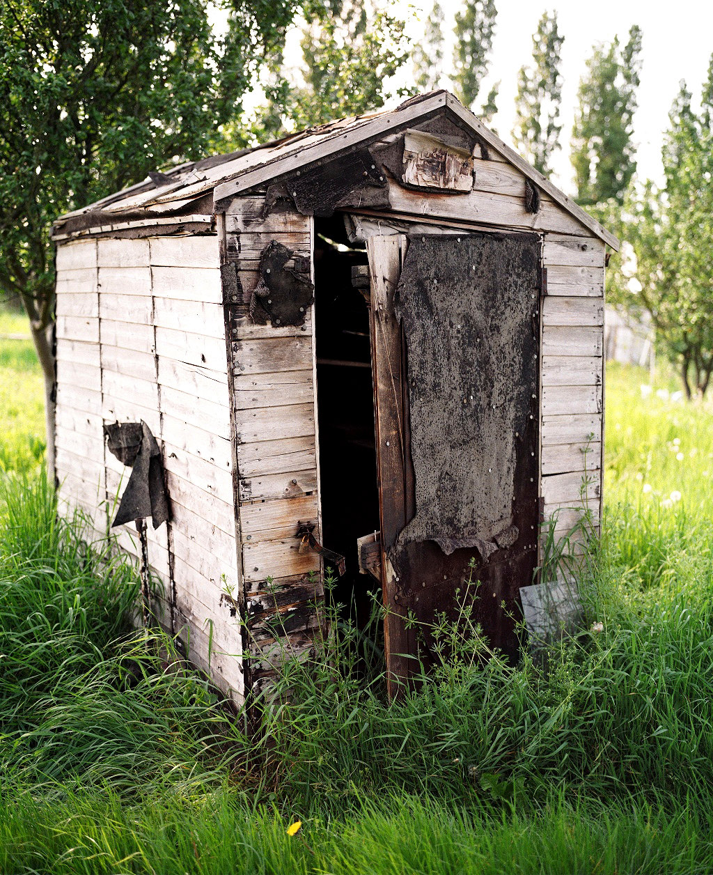 Shed Photography Allotment Shed Garden Shed Abandoned - Etsy