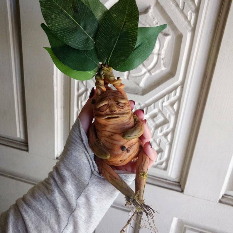 Mandrake - Etsy