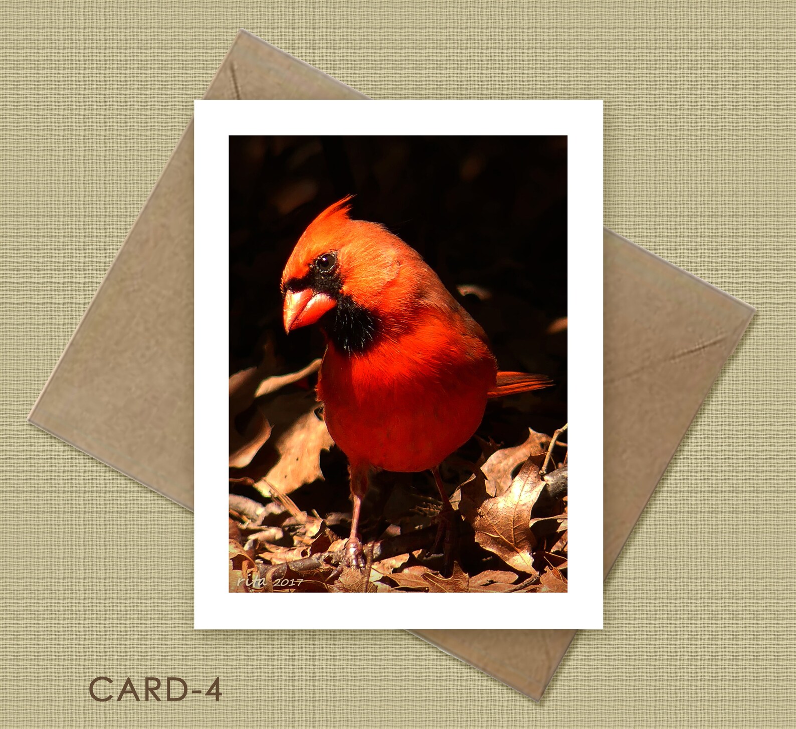 Cardinal note cards - choose 1, 2, 3, or all 4 - Etsy 日本