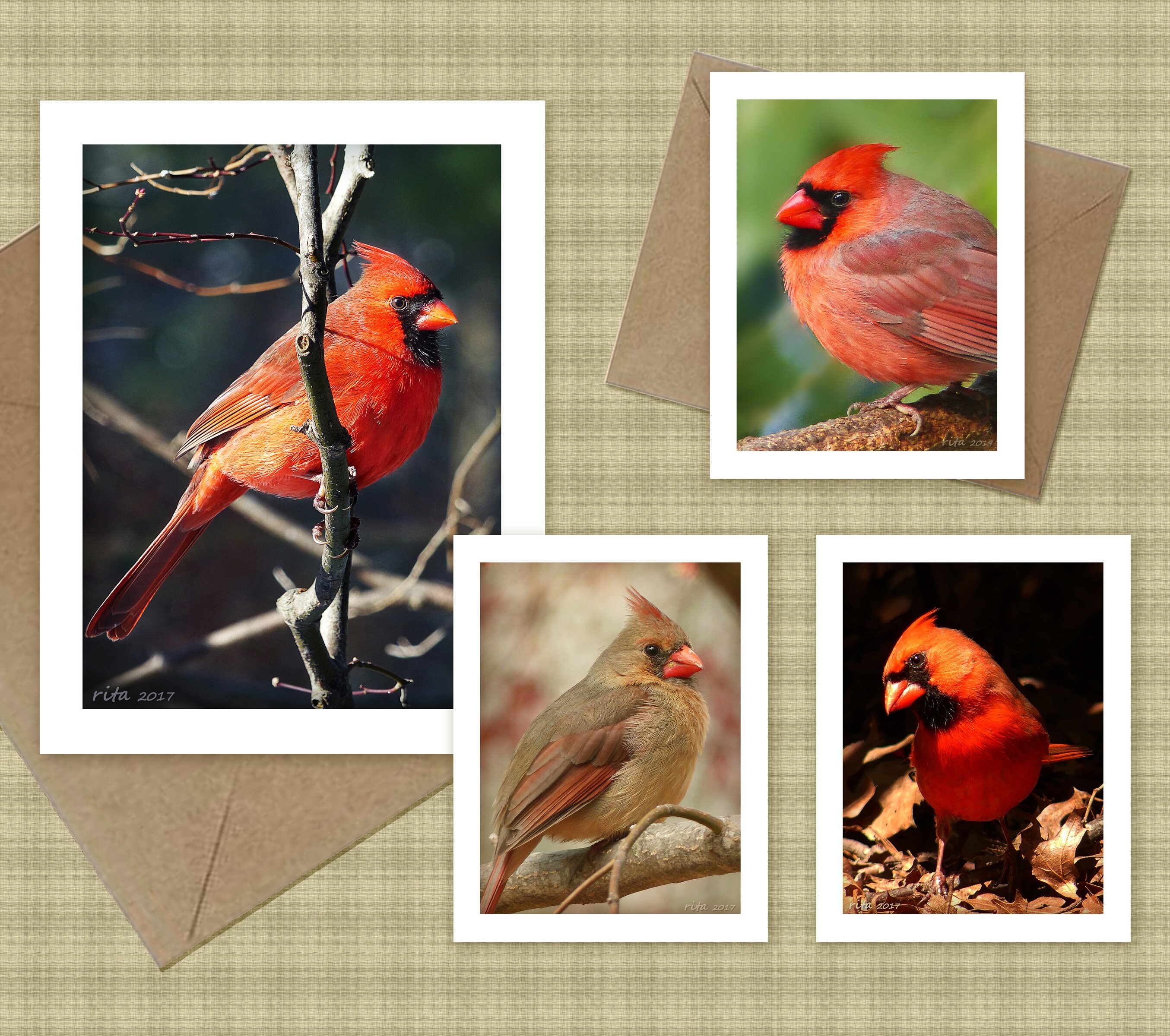 Cardinal note cards - choose 1, 2, 3, or all 4 - Etsy 日本