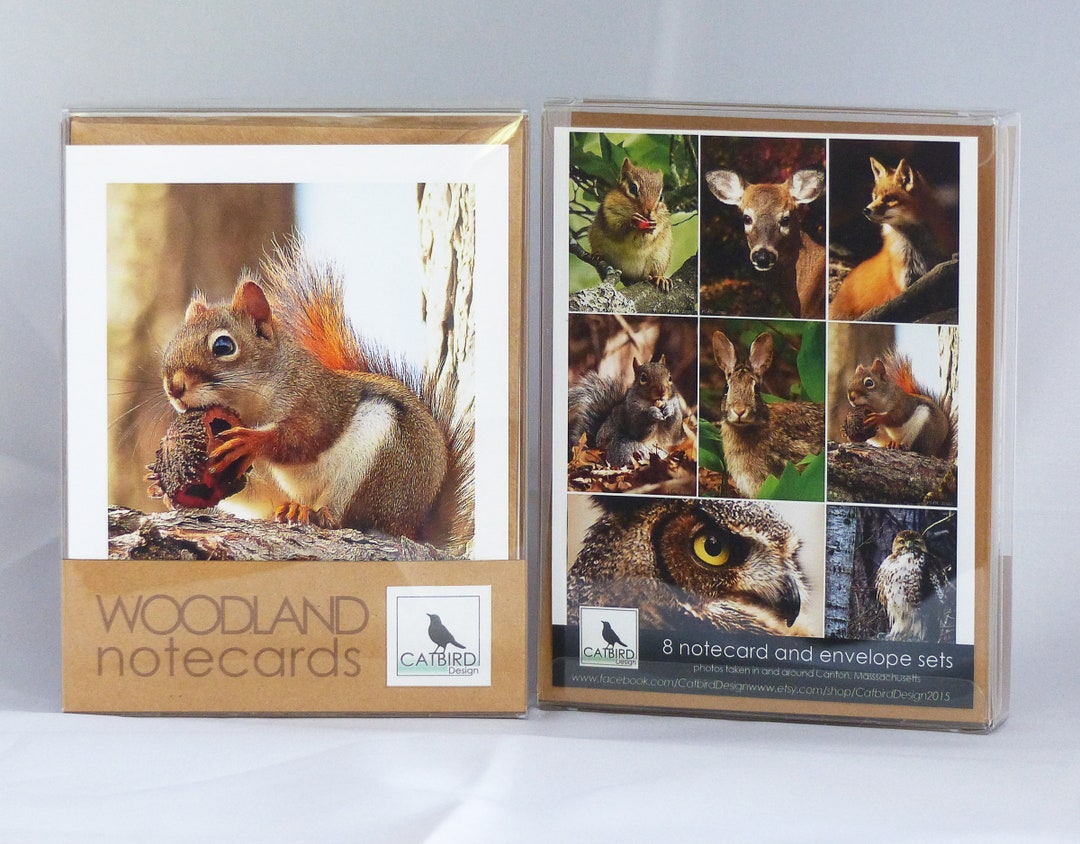 8 Notecard Woodland Collection - Etsy