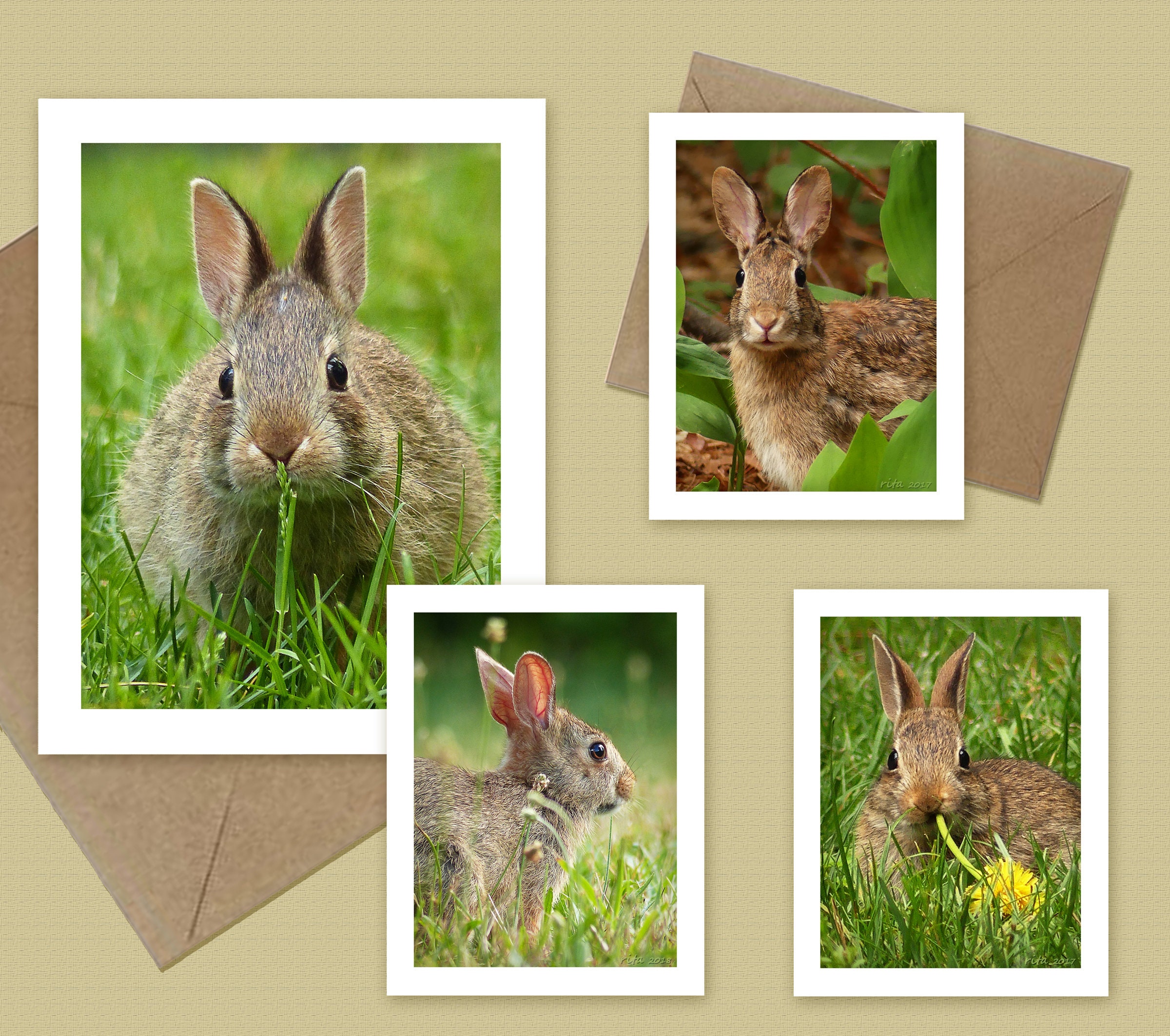 Rabbit Note Cards Choose 1, 2, 3, or All 4 - Etsy