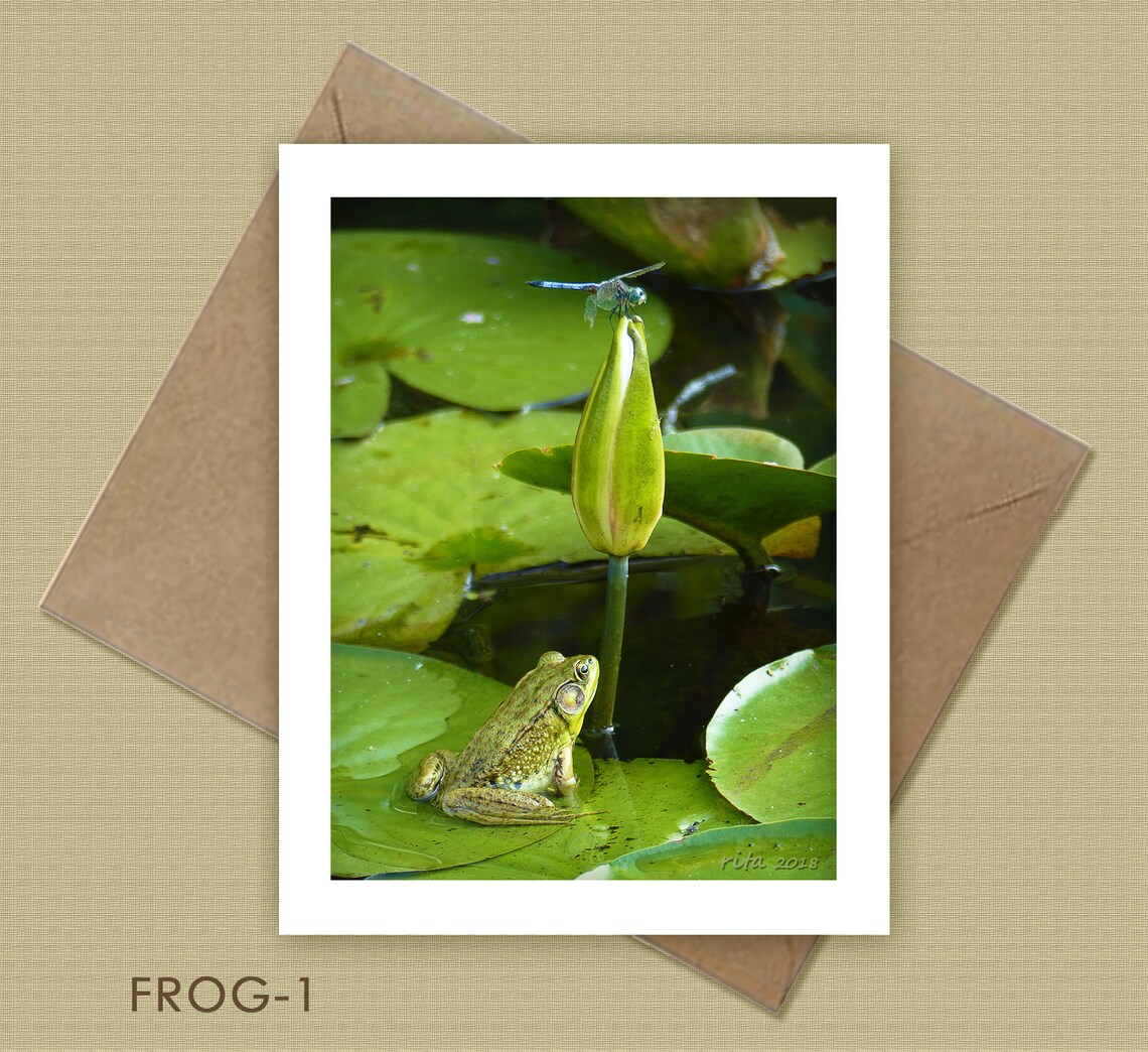 Frog Note Cards - Choose 1, 2, 3, or All 4 - Etsy