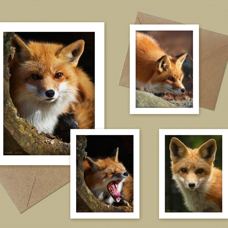 Red Fox Card - Etsy